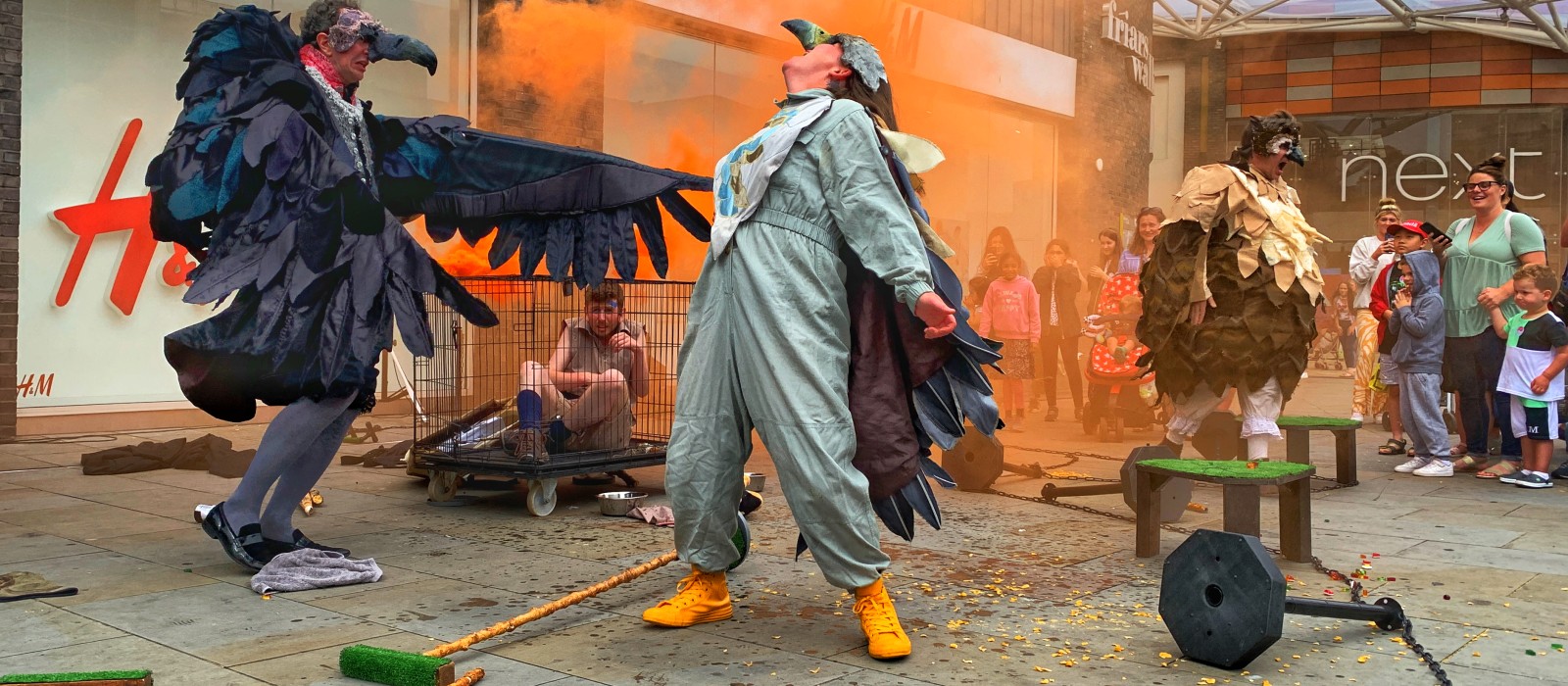 Street Shows | Fool's Paradise