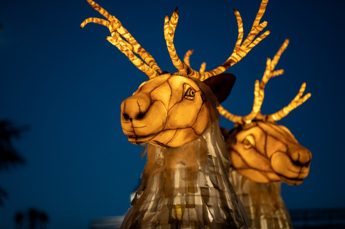 Ghost Caribou | Fool's Paradise